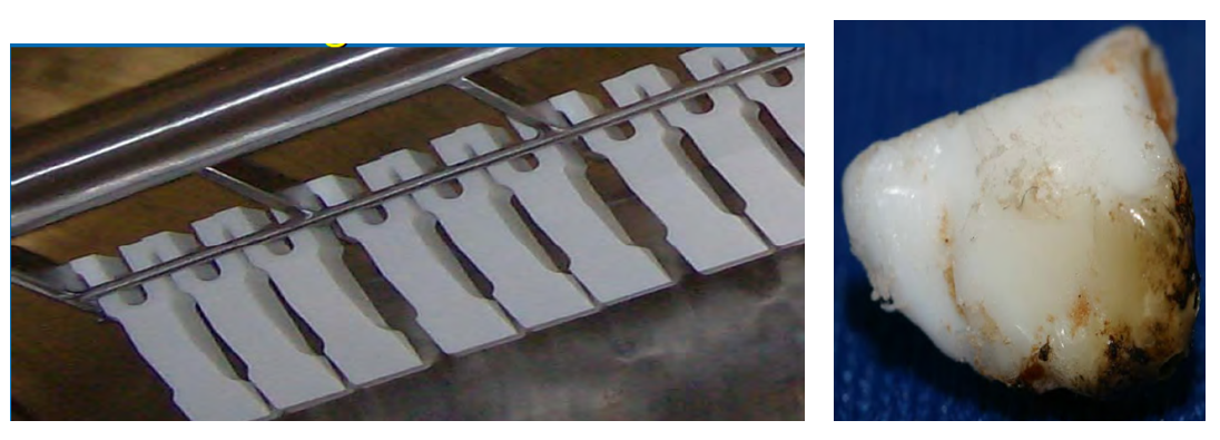 Hygienic Design - Definitions, Objectives & Principles (Part 1) | RMC