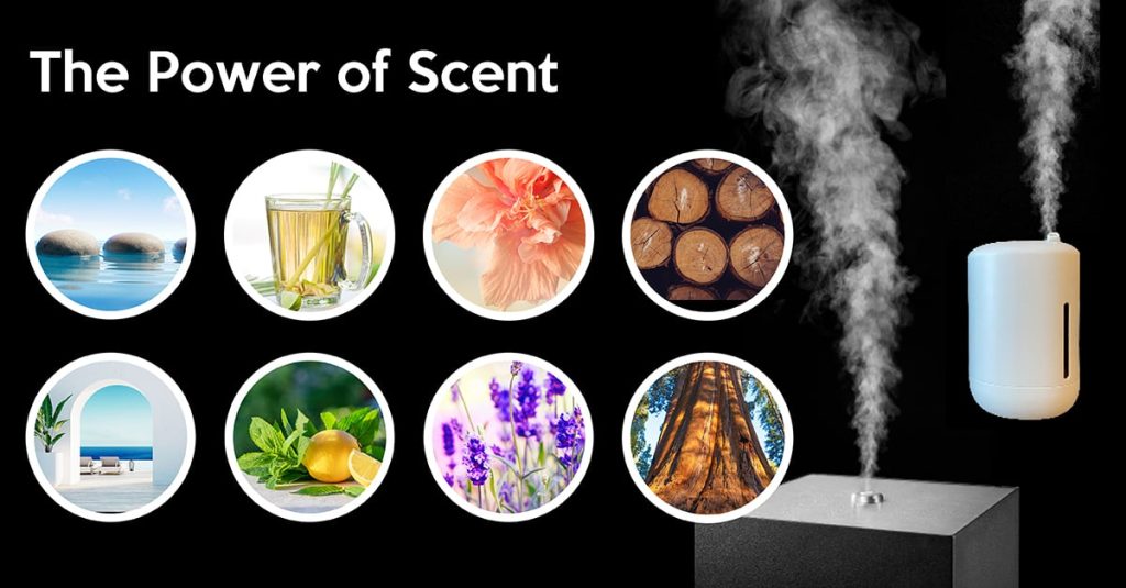 Jim Bruno Archives | RMC