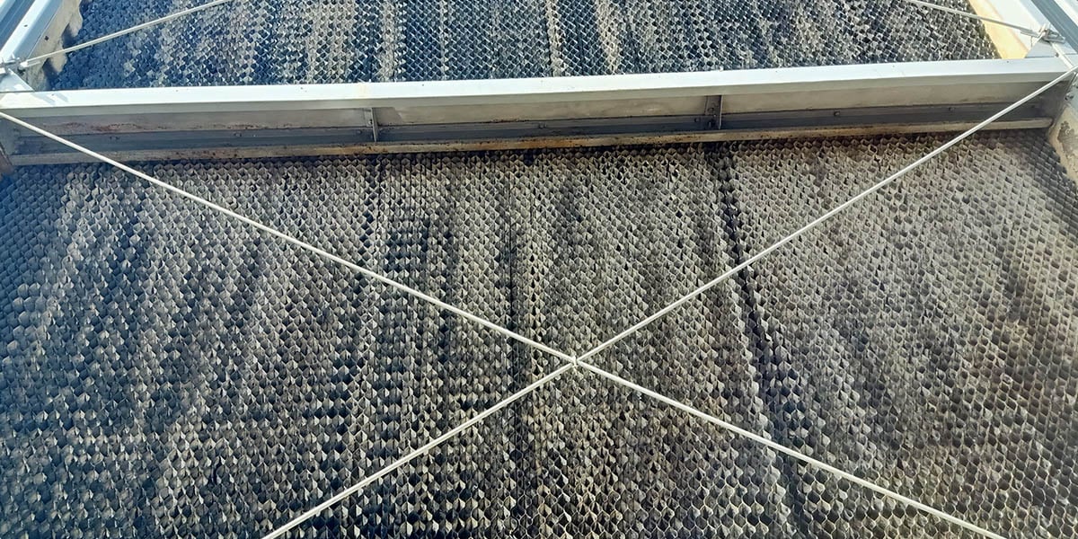 The Negative Effects of Biofilm & benefits of using RMC AssetGuard ...